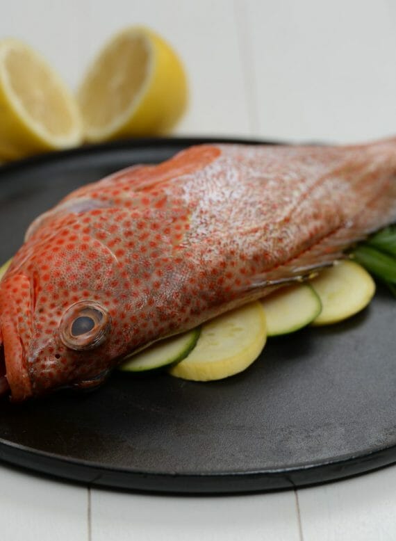 Recipes Archive - Tanya's Kitchen