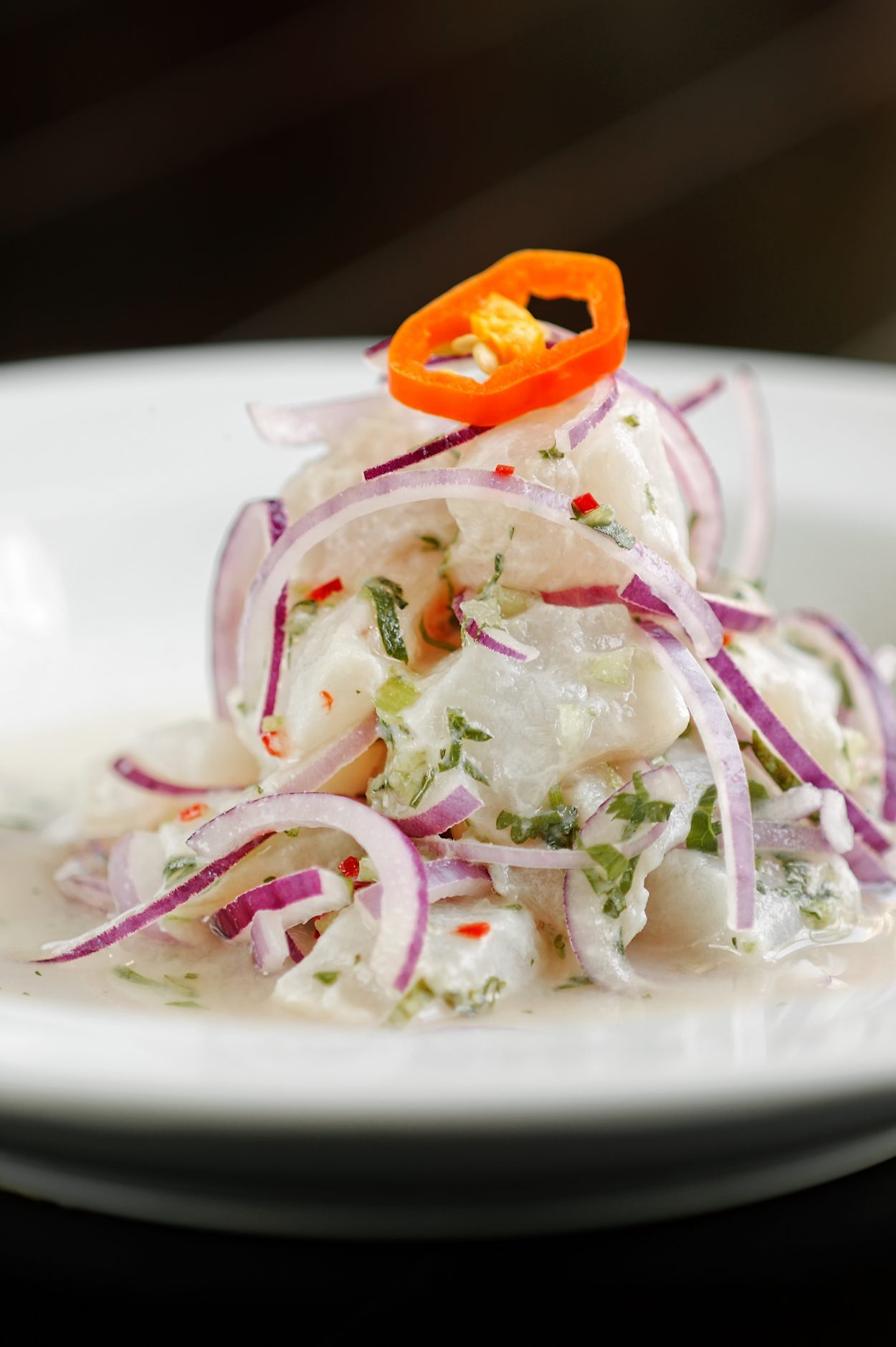 Snapper Ceviche - Tanya's Kitchen